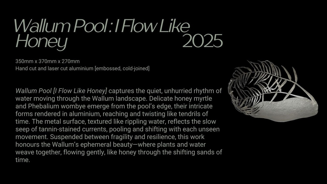 Wallum Pool Arts Bundaberg